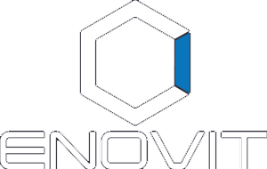 IT-Experten für Digitalisierungs-Projekte › ENOVIT GmbH